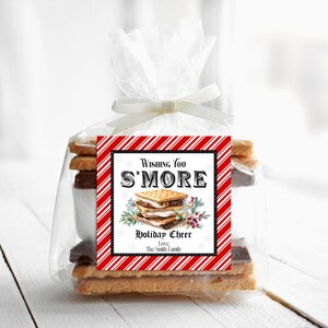 S'more Christmas Tag Printable S'mores Candy Cane Gift Tag S'more ...