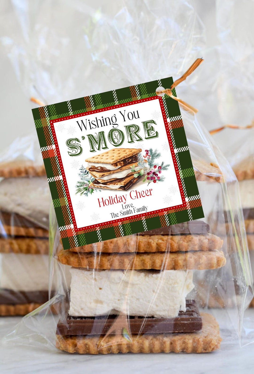 Editable Smore Christmas Gift Tag Smores Kit Tag Sweet Treat Station ...
