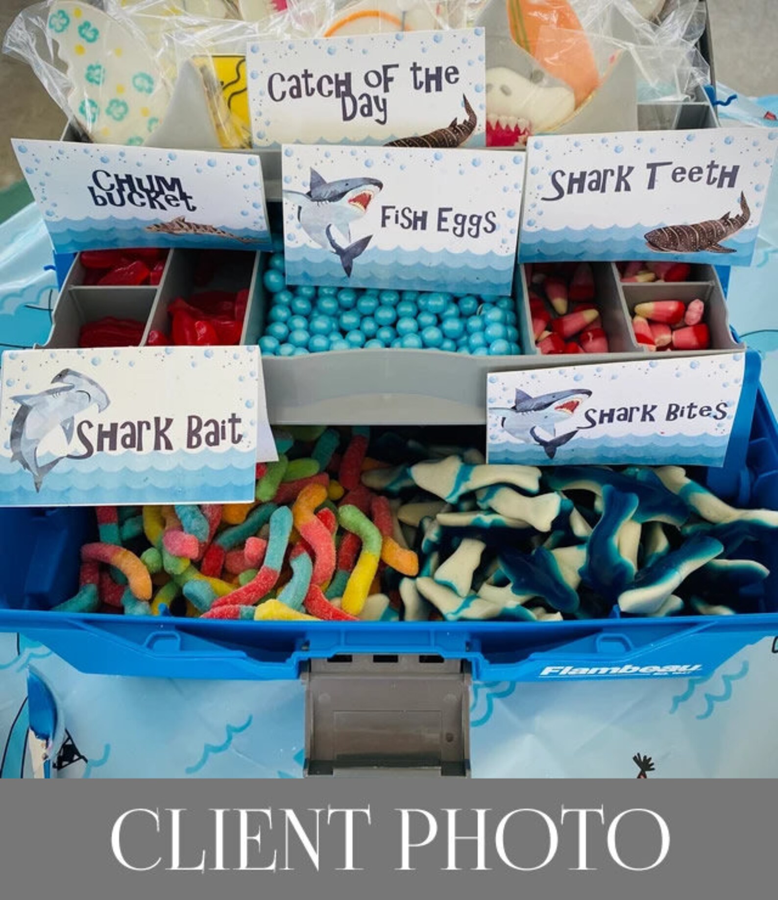 EDITABLE Sharks Food Tent Template Shark Jawsome Time Sharks - Etsy