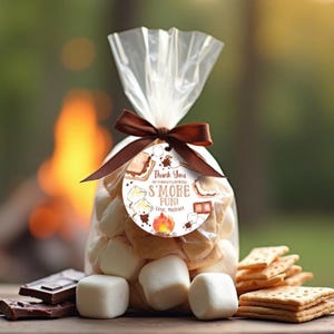 Editable Smores Birthday Thank You Tags Smore Favor Tags Smore Fun ...
