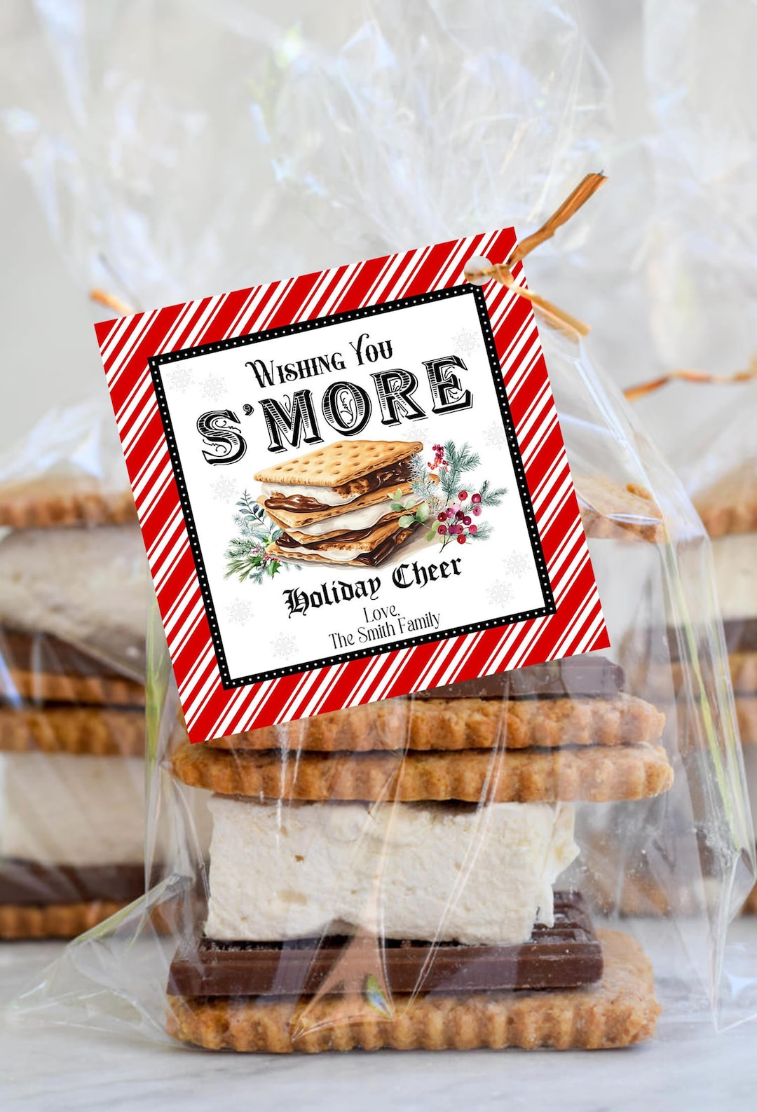 S'more Christmas Tag Printable S'mores Candy Cane Gift Tag S'more ...