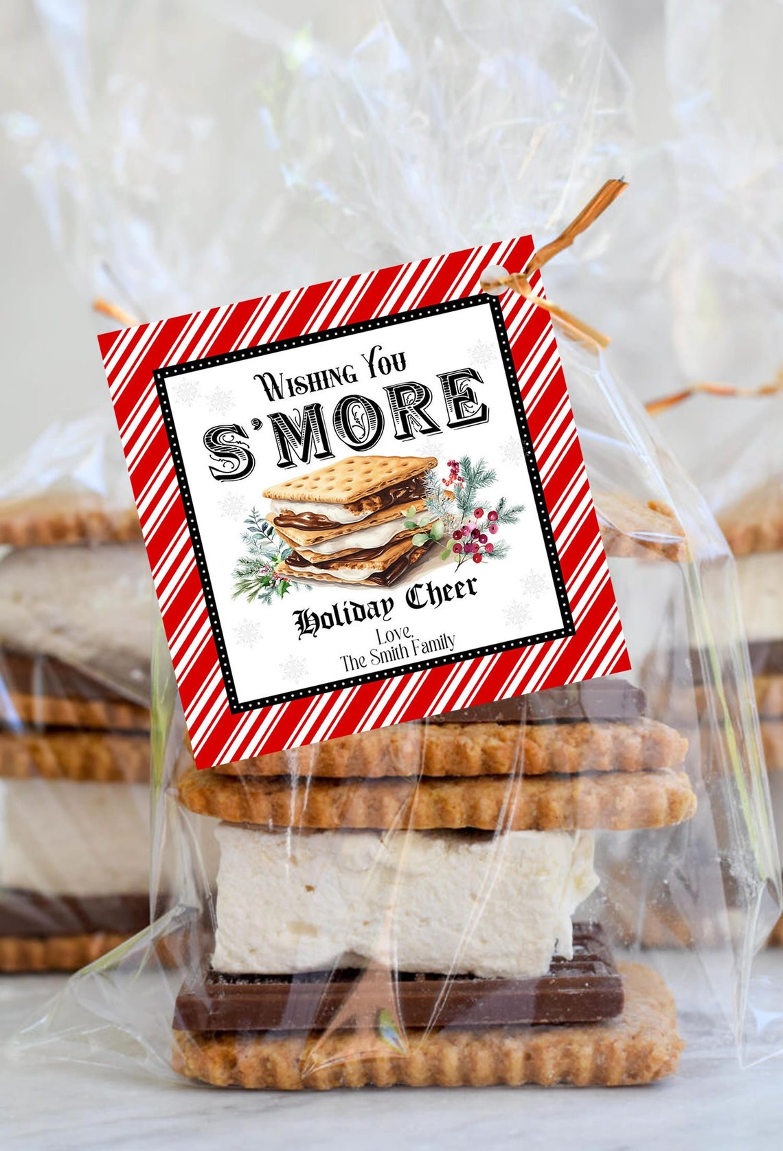 S'more Christmas Tag Printable S'mores Candy Cane Gift Tag S'more ...