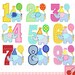 Elephant Numbers Birthday Machine Embroidery Applique - Etsy