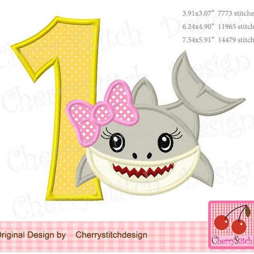 Birthday Boy Applique Digital Machine Embroidery Design 4 | Etsy