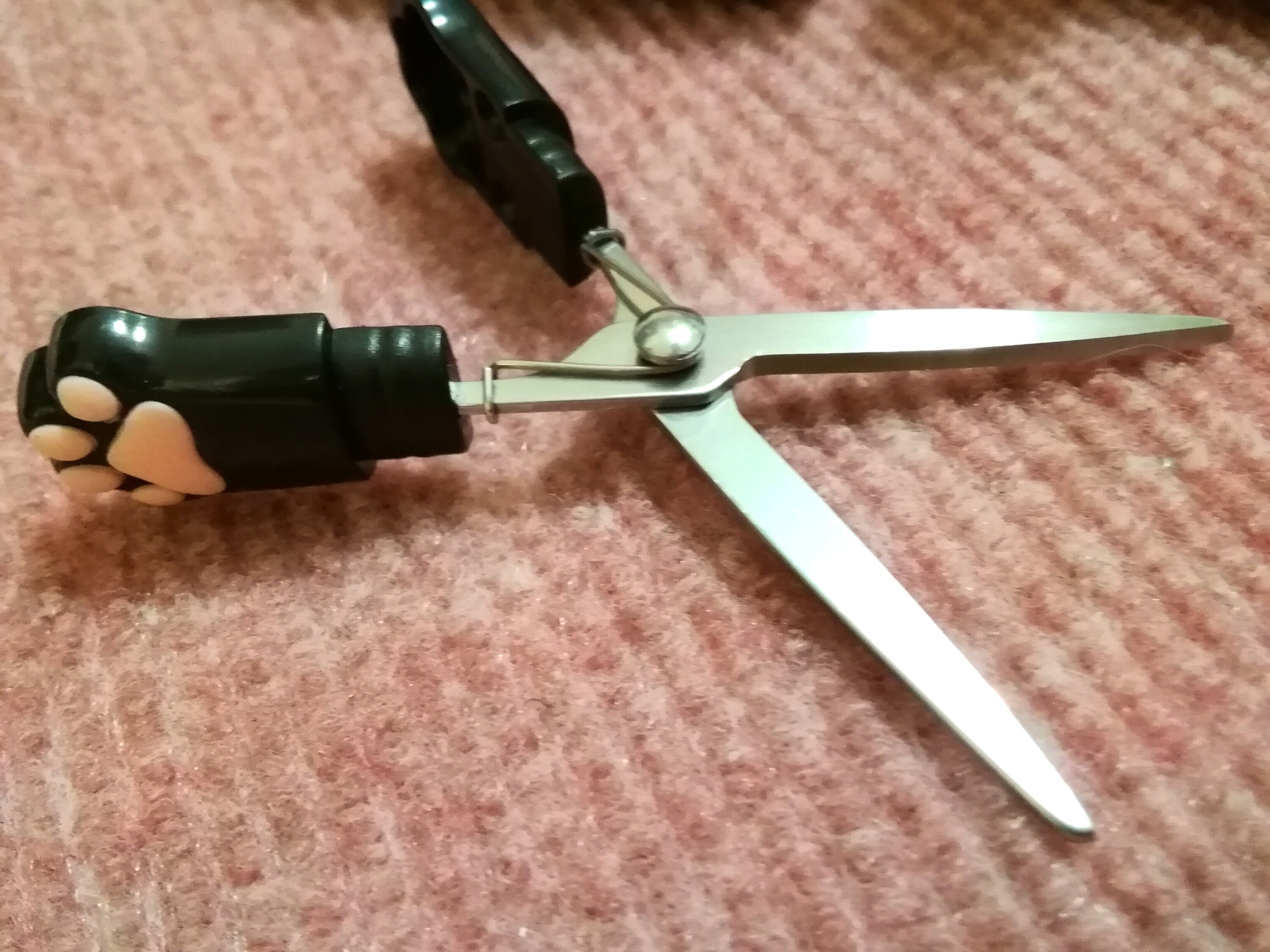 Cat Claw Shape Folding Scissors Cute Cat Compact Scissors Slim - Etsy ...