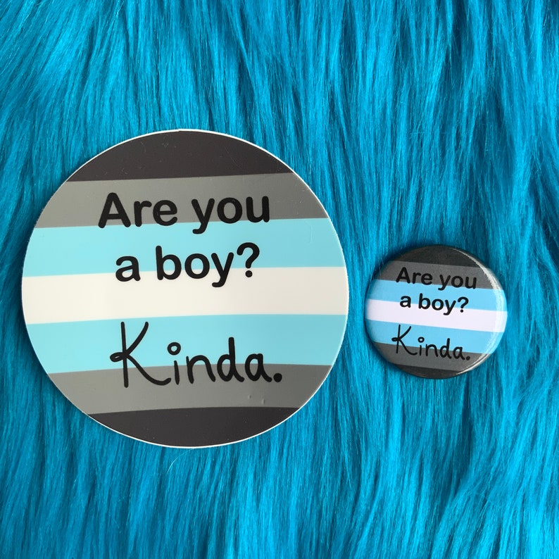 Are You a Boy Kinda. Demiboy Pride Flag Pin Back Button - Etsy Canada