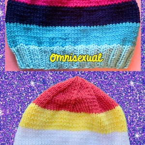 LGBTQ+ Pride Handknit Slouchy Beanies| Toques |abrosexual | Sapphic ...