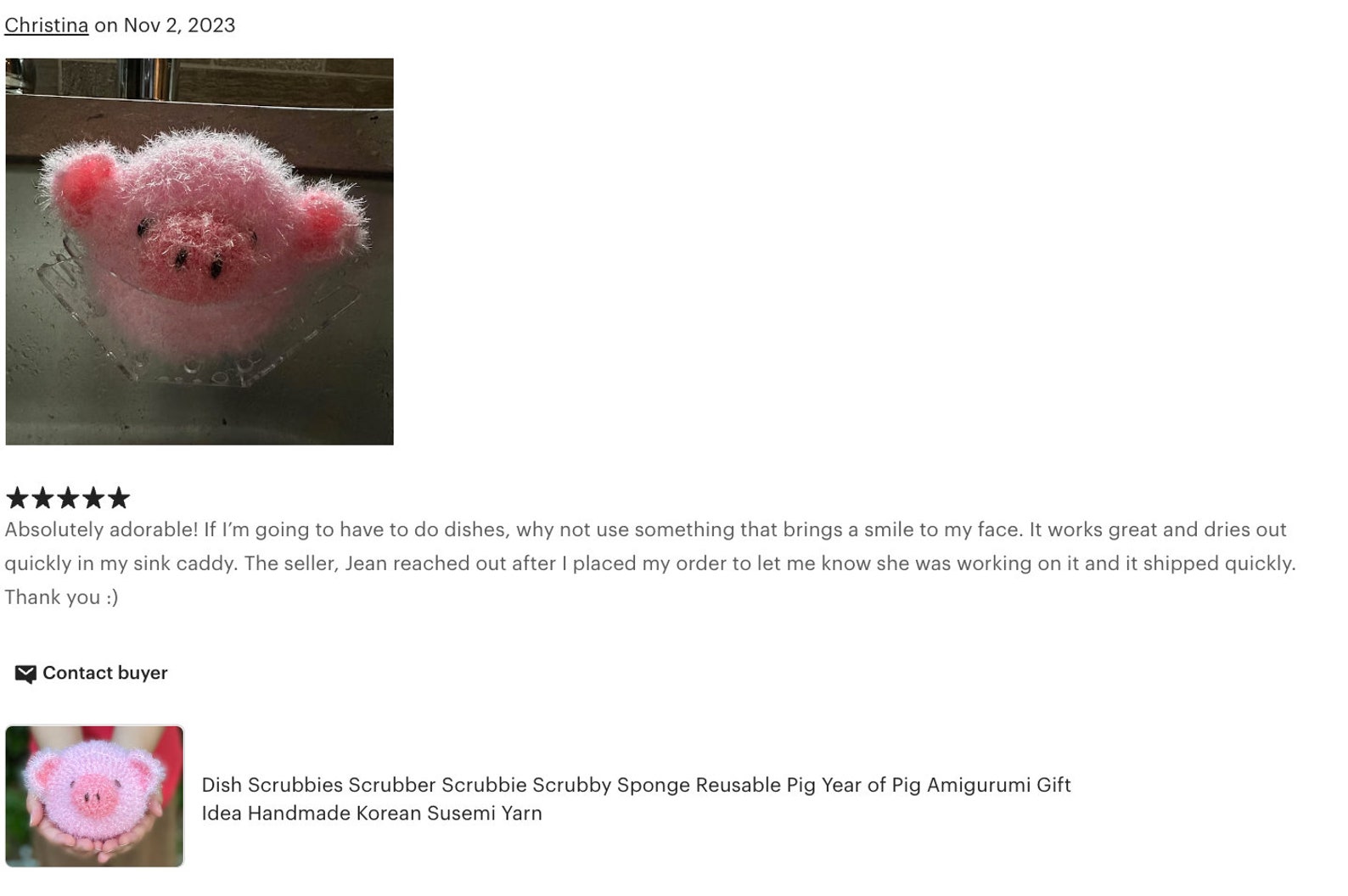 Dish Scrubby Sponge Reusable Pig Amigurumi Comes in Box Handmade Korean ...