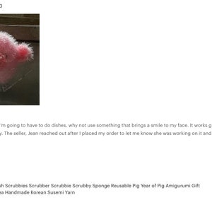 Dish Scrubby Sponge Reusable Pig Amigurumi Comes in Box Handmade Korean ...