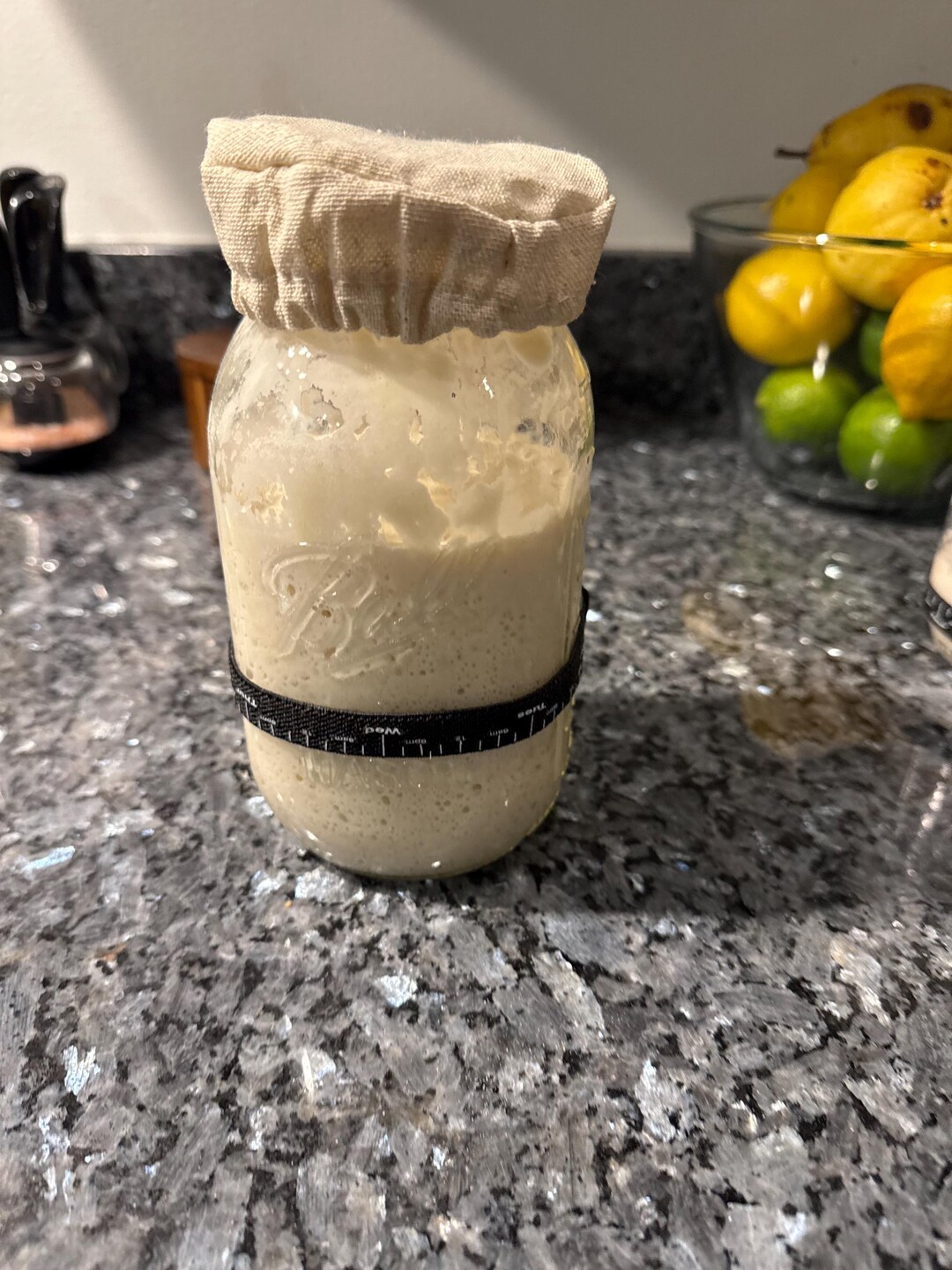 Dried Sourdough Starter - Etsy