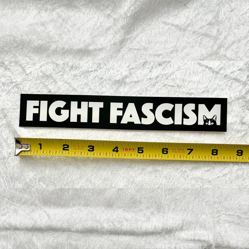 FIGHT FASCISM STICKER - a Good Sticker and There's a Kitty on It! - Etsy