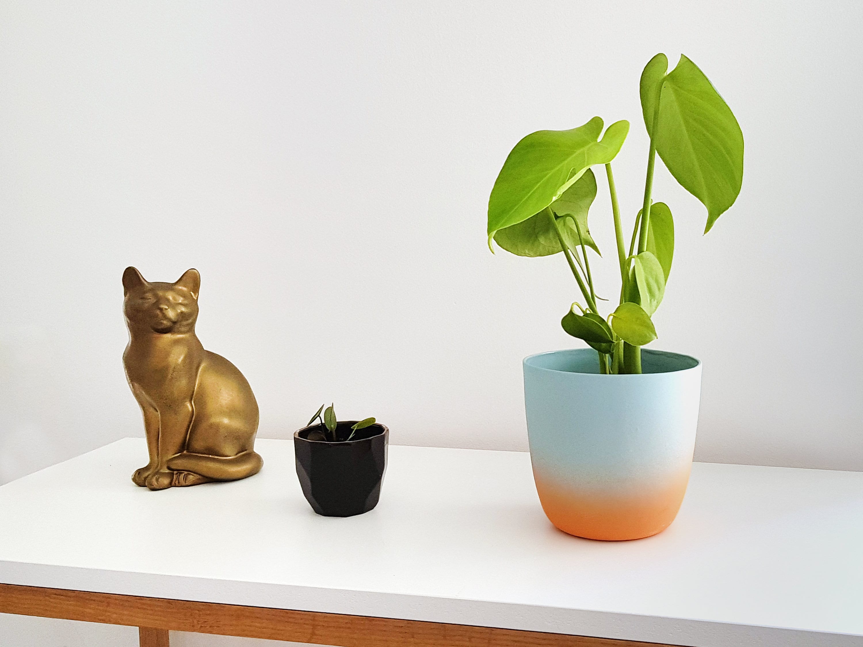 SUNSET FLOWERPOT - Vase Flowers Gradient - Handmade Planter - Plantvase ...