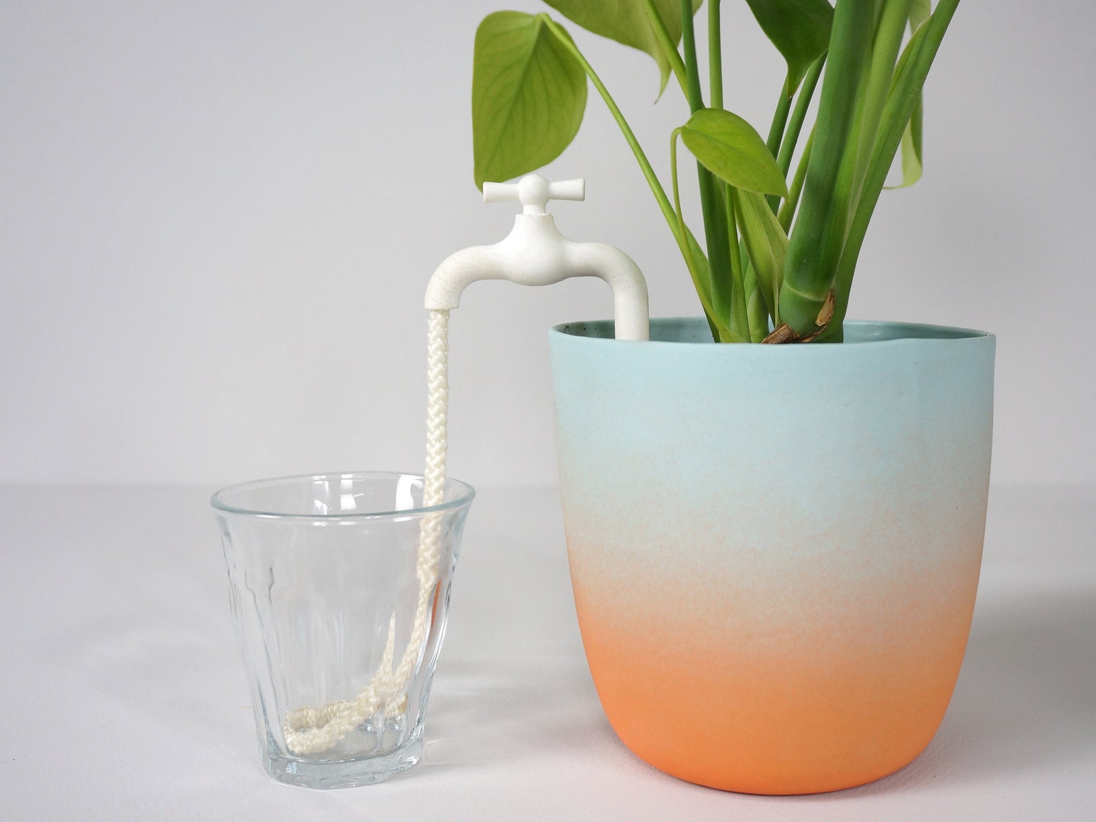 PLANT WATER TAP - Self Feeding Faucet Water, Feeding , Tapwire Feeder ...
