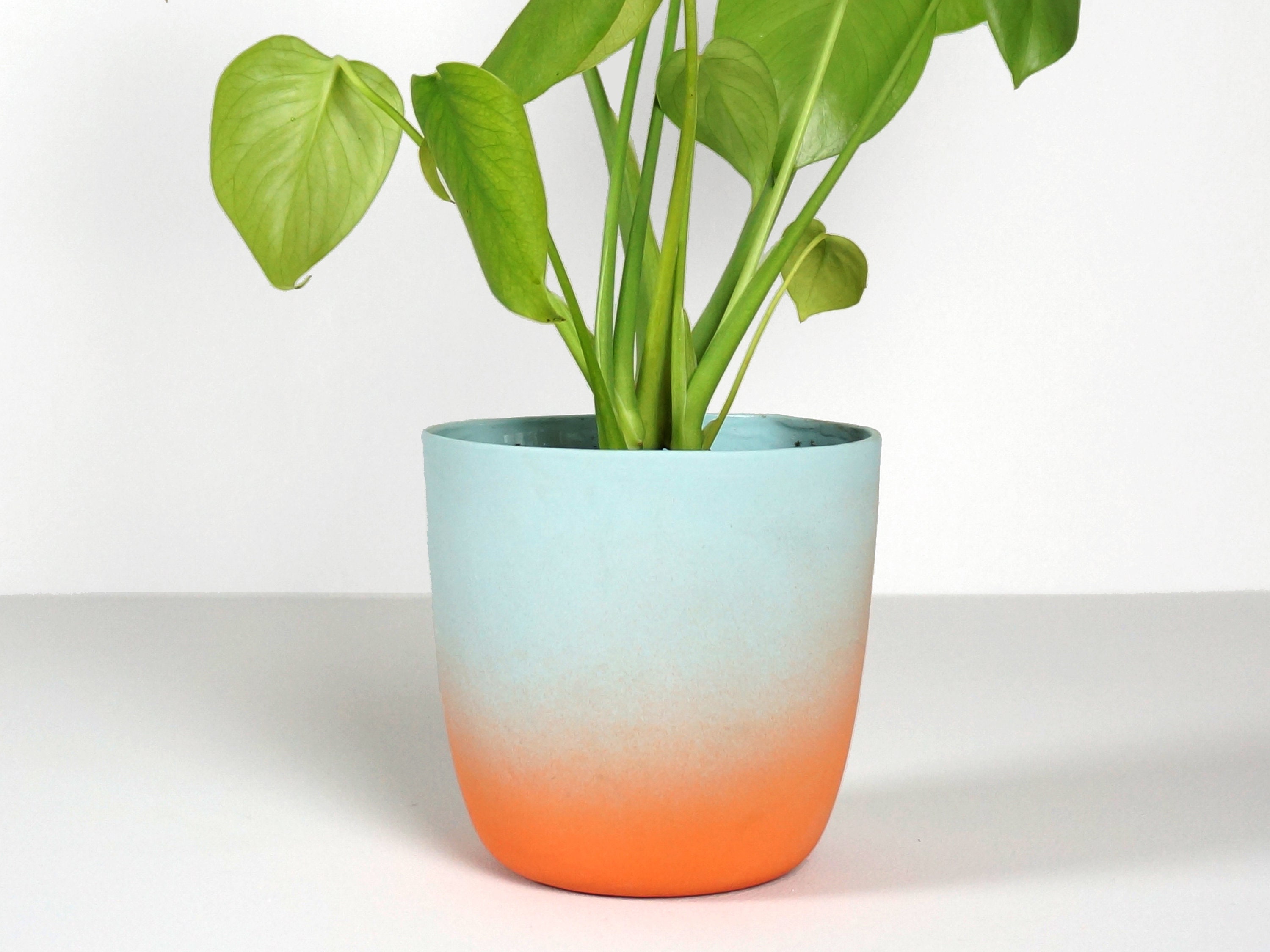 SUNSET FLOWERPOT - Vase Flowers Gradient - Handmade Planter - Plantvase ...