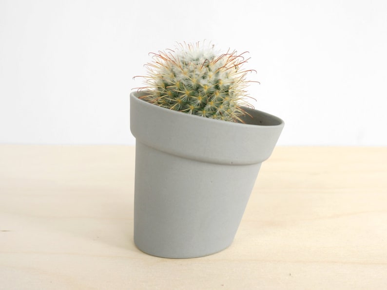 Distorted Planter, Modern Skew Design Pot for Flower or Plant - Herbs ...