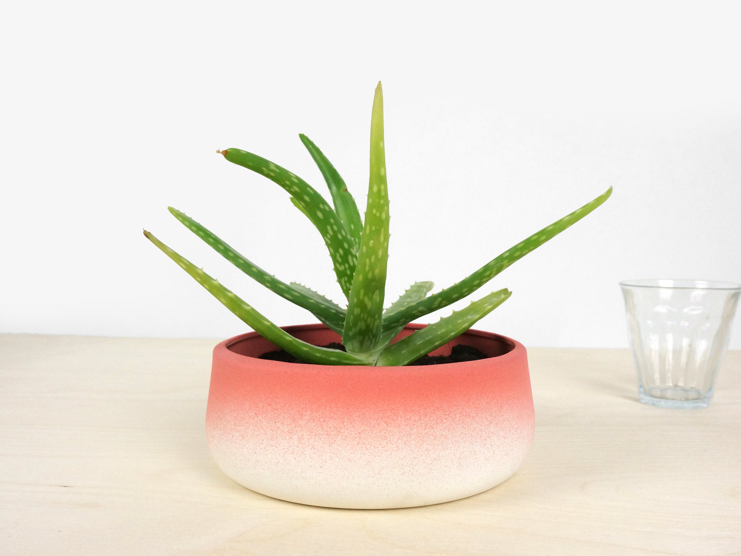 Flowertop, Rotating Planter, Modern Skew Design Pot for Flower or Plant ...