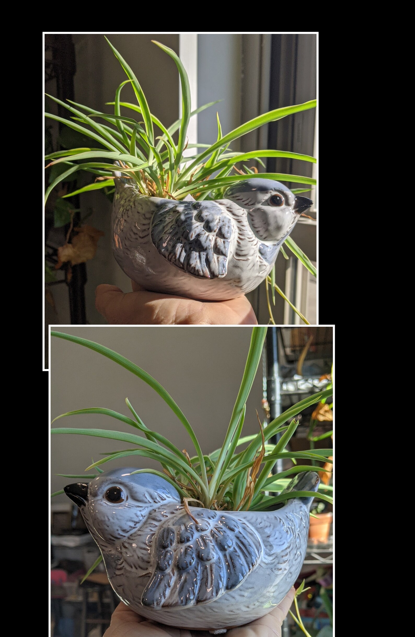 Vintage Ceramic Chubby Blue Bird Planter Container - Etsy