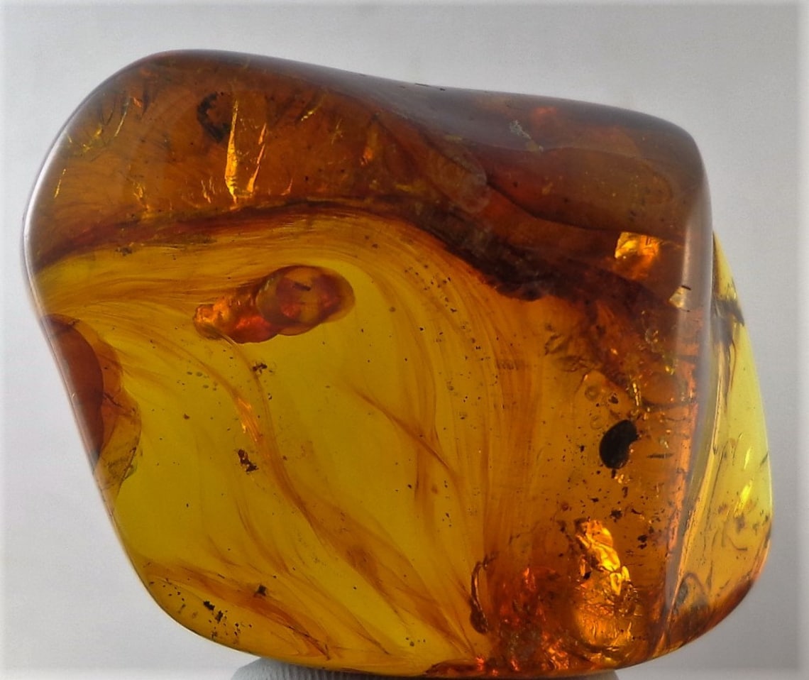 Good Clarity Mexican Amber Full Polished W Rare Maggot and - Etsy Canada