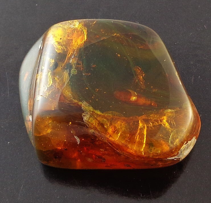 Good Clarity Mexican Amber Full Polished W Rare Maggot and - Etsy Canada