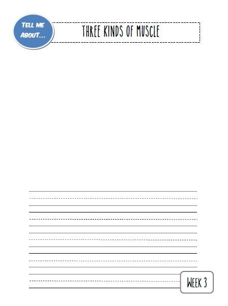 Cycle 3 Classical Conversations Science Notebook journal Memory Work ...