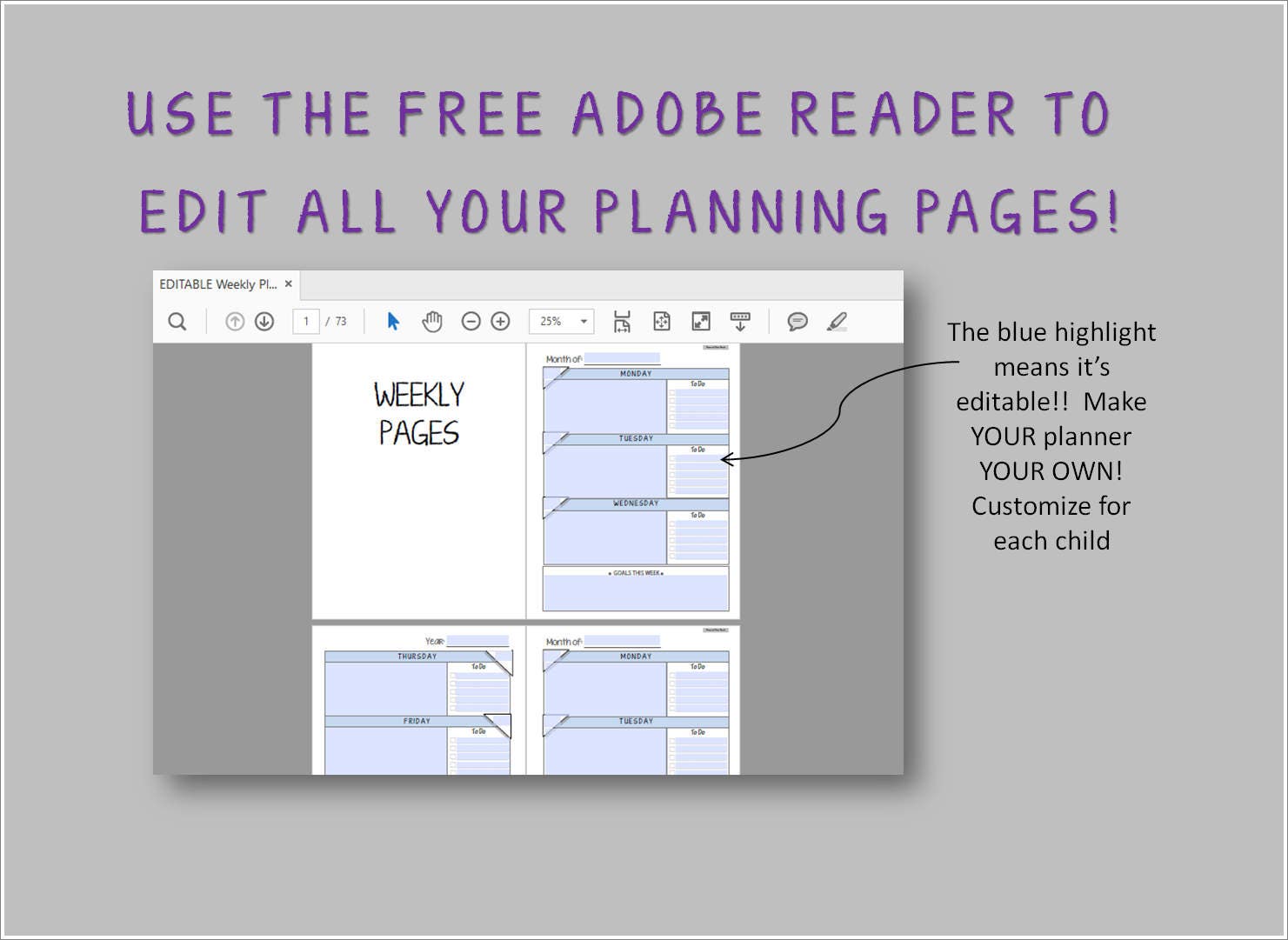 EDITABLE 2023-2024 Blue Student Planner Homeschool Weekly View Lesson ...