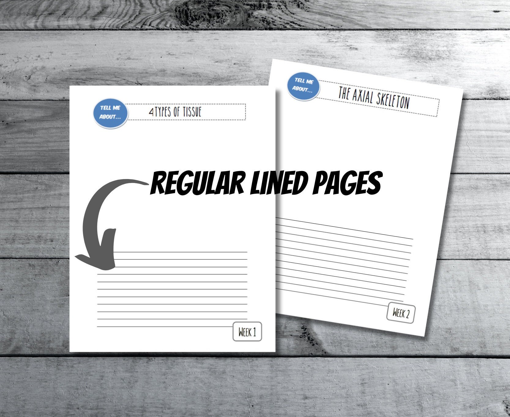 Cycle 3 Classical Conversations Science AND History Notebook journal ...