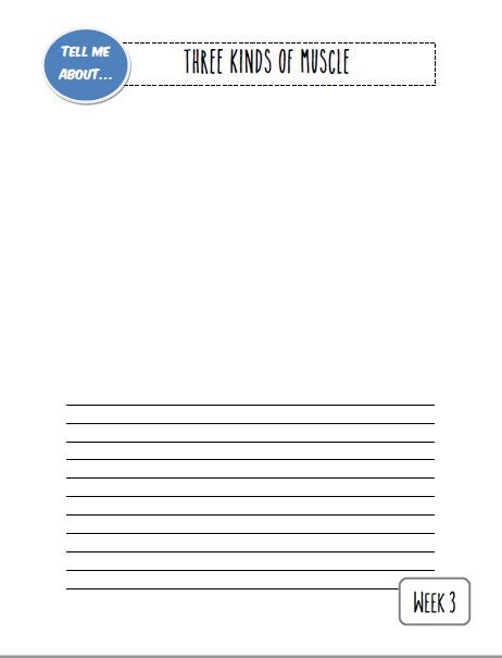 Cycle 3 Classical Conversations Science Notebook journal Memory Work ...