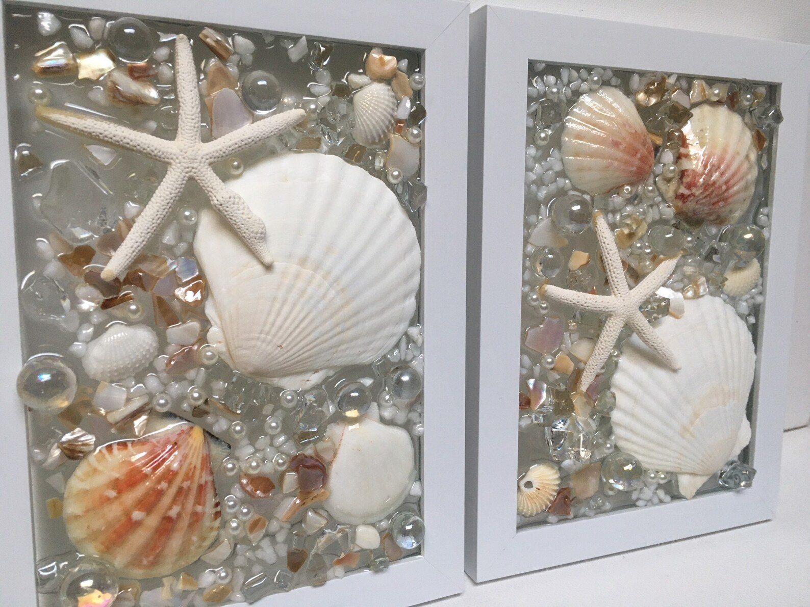 White Seashell Window, White Seashell/seaglass Arrangement, Crystal and ...