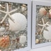 White Seashell Window, White Seashell/seaglass Arrangement, Crystal and ...