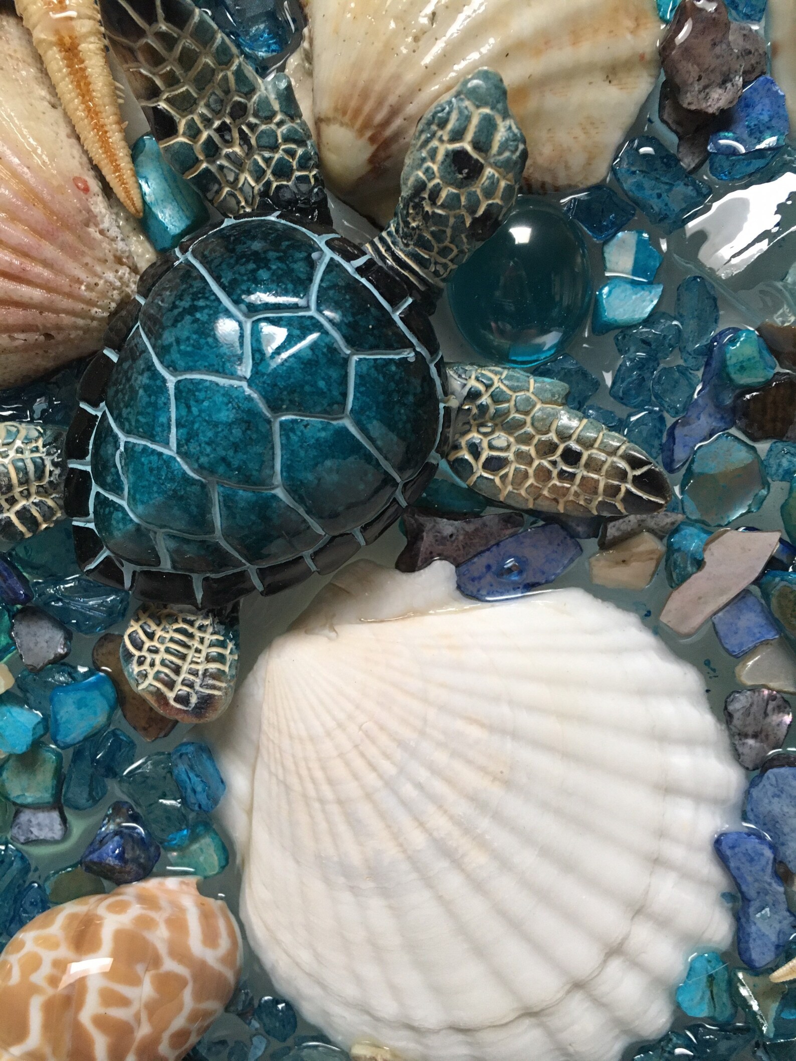 Sea Turtle Decor/sea Turtle & Seashell Resin Window/turtle Art/nursery ...