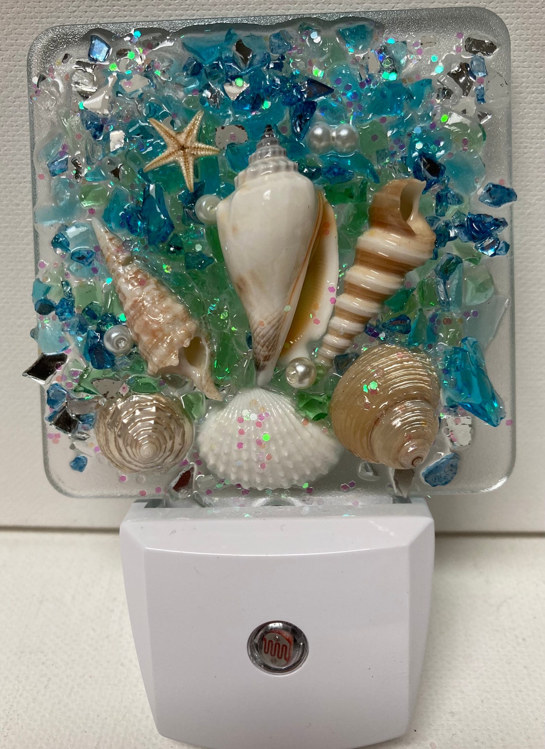 Coastal Nightlight/shell Night Light/night Light/wall Light/beach Light ...