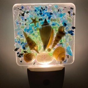 Coastal Nightlight/shell Night Light/night Light/wall Light/beach Light ...
