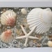 White Seashell Window, White Seashell/seaglass Arrangement, Crystal and ...