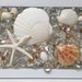 White Seashell Window, White Seashell/seaglass Arrangement, Crystal and ...