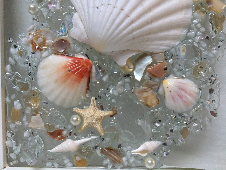 Crystal Seashell Arrangement White Seashell Window Crystal - Etsy