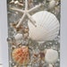 White Seashell Window, White Seashell/seaglass Arrangement, Crystal and ...