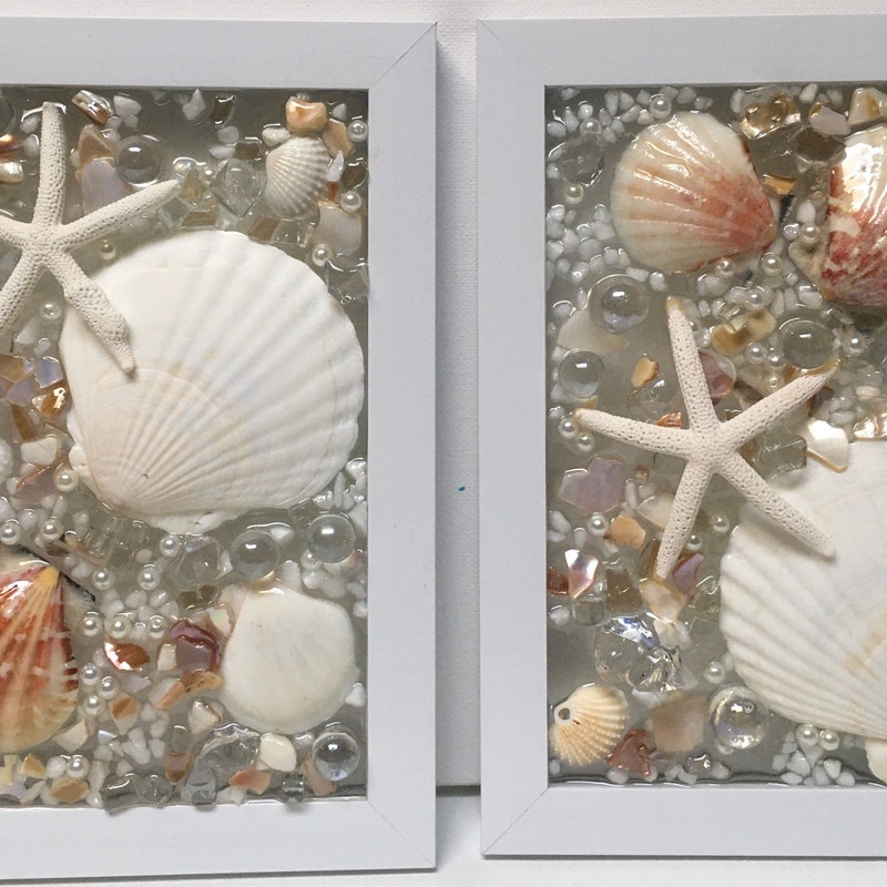 Seashell Wall Decor - Etsy