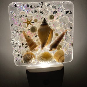 Coastal Nightlight/crystal Nightlight/shell Nightlight/wall Light/night ...