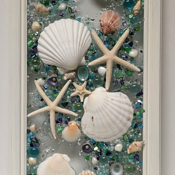 Turquoise Seashell - Etsy