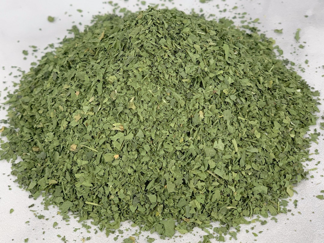 Cilantro, Dried Herbs, High Quality Spices - Etsy