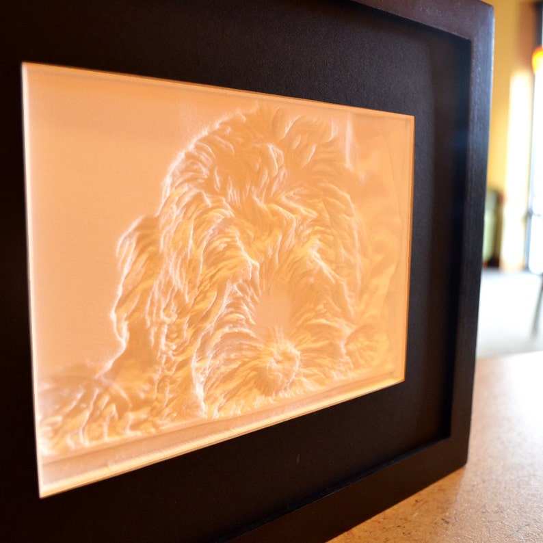 Lithophanes Framed With a Long-lasting LED Light Panel | Etsy