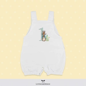 Peter Rabbit Numbers 4inch Embroidery Set Easter Bunny - Etsy