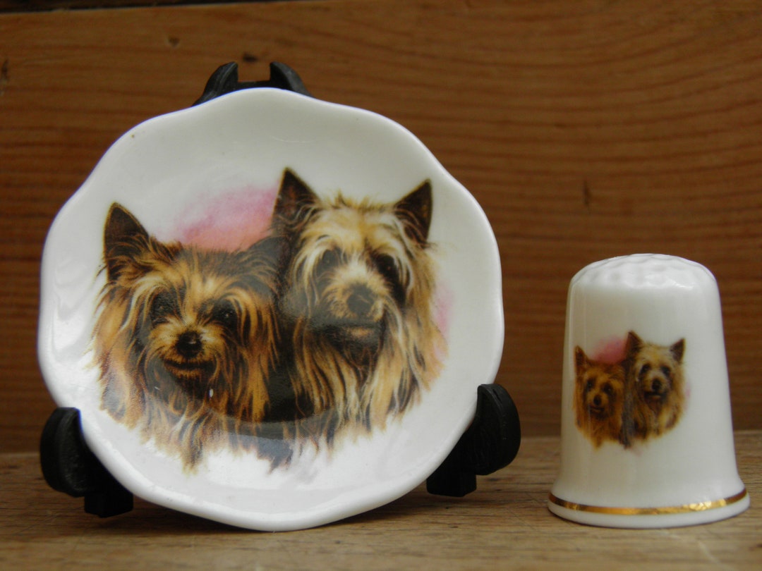 Two Yorkshire Terriers on Vintage Bone China Thimble and Plate With ...