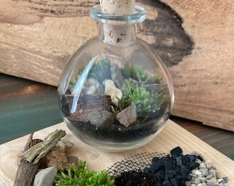 Terrarium Kit | Etsy