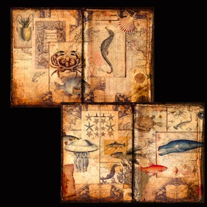Vintage Pirate Junk Journal Printable Pages Nautical Paper Digital ...