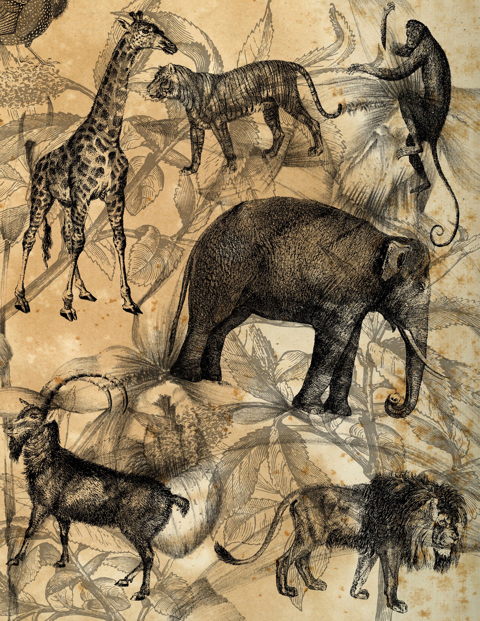 Digital Vintage Safari Animal Ephemera Pack for Junk Journal - Etsy