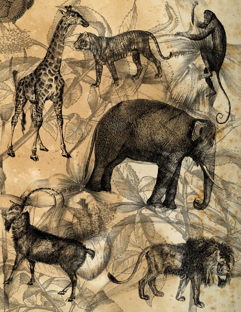 Digital Vintage Safari Animal Ephemera Pack for Junk Journal - Etsy