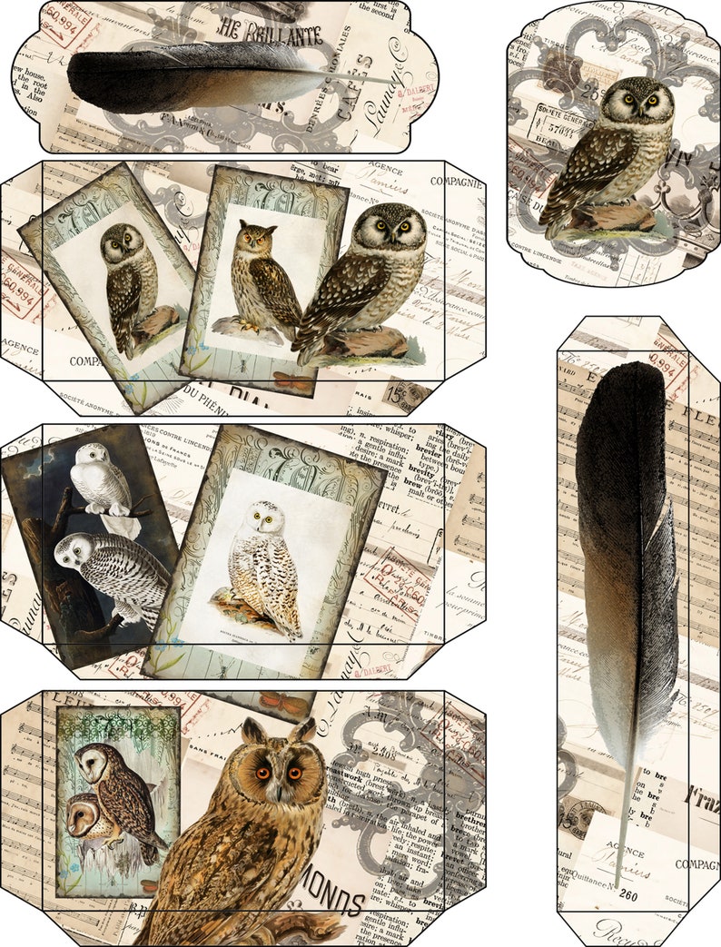 Digital Owl Ephemera Pack Junk Journal Printable Bird Paper Scrapbook ...