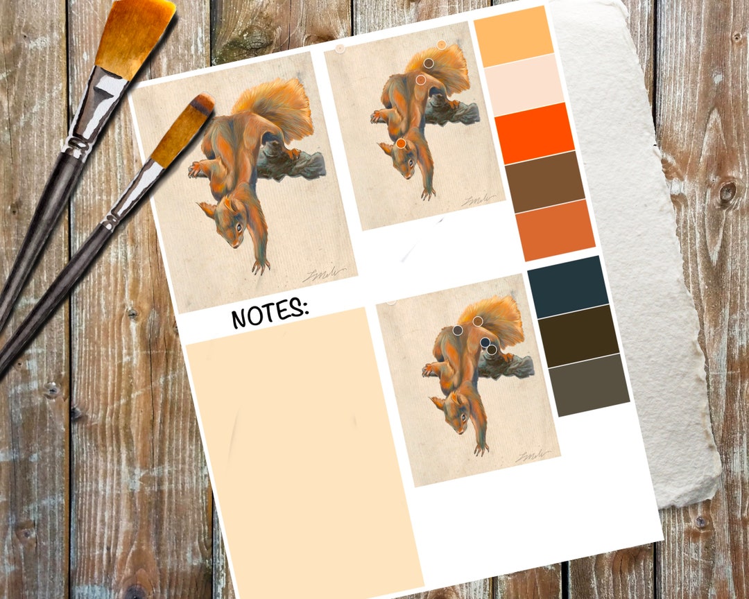 DIY Paint a Squirrel Reference Image and Color Swatch Art Watercolor ...