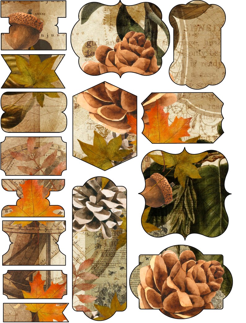 Woodland Themed Digital Ephemera Pack Printable Fall Paper - Etsy